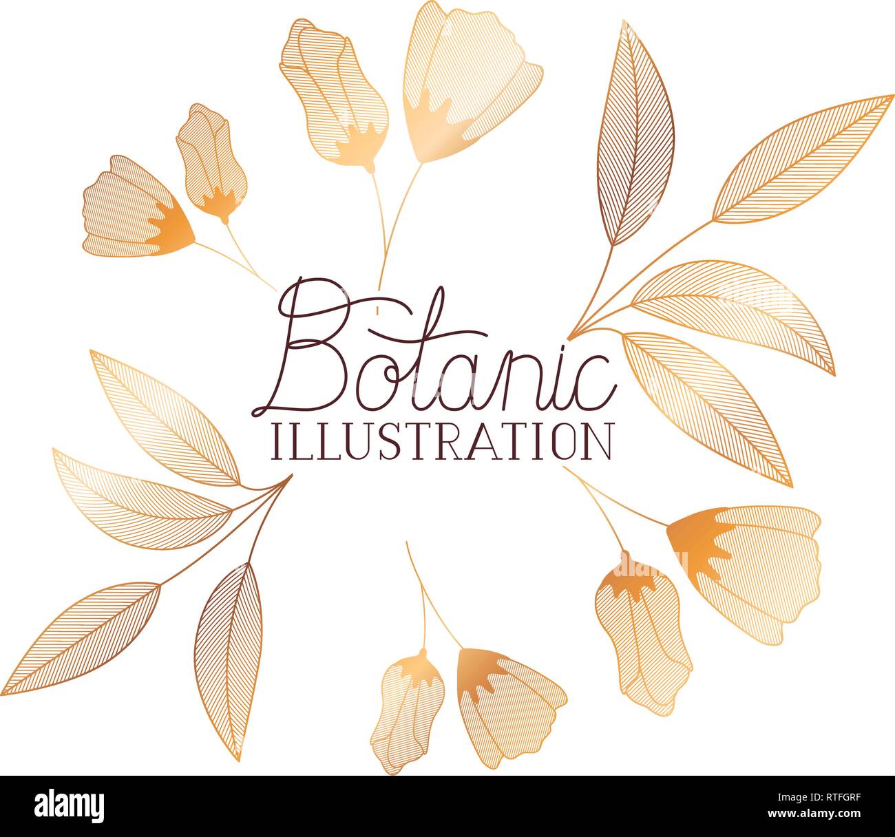 botanic illustration label with plants vector illustration desing Stock ...