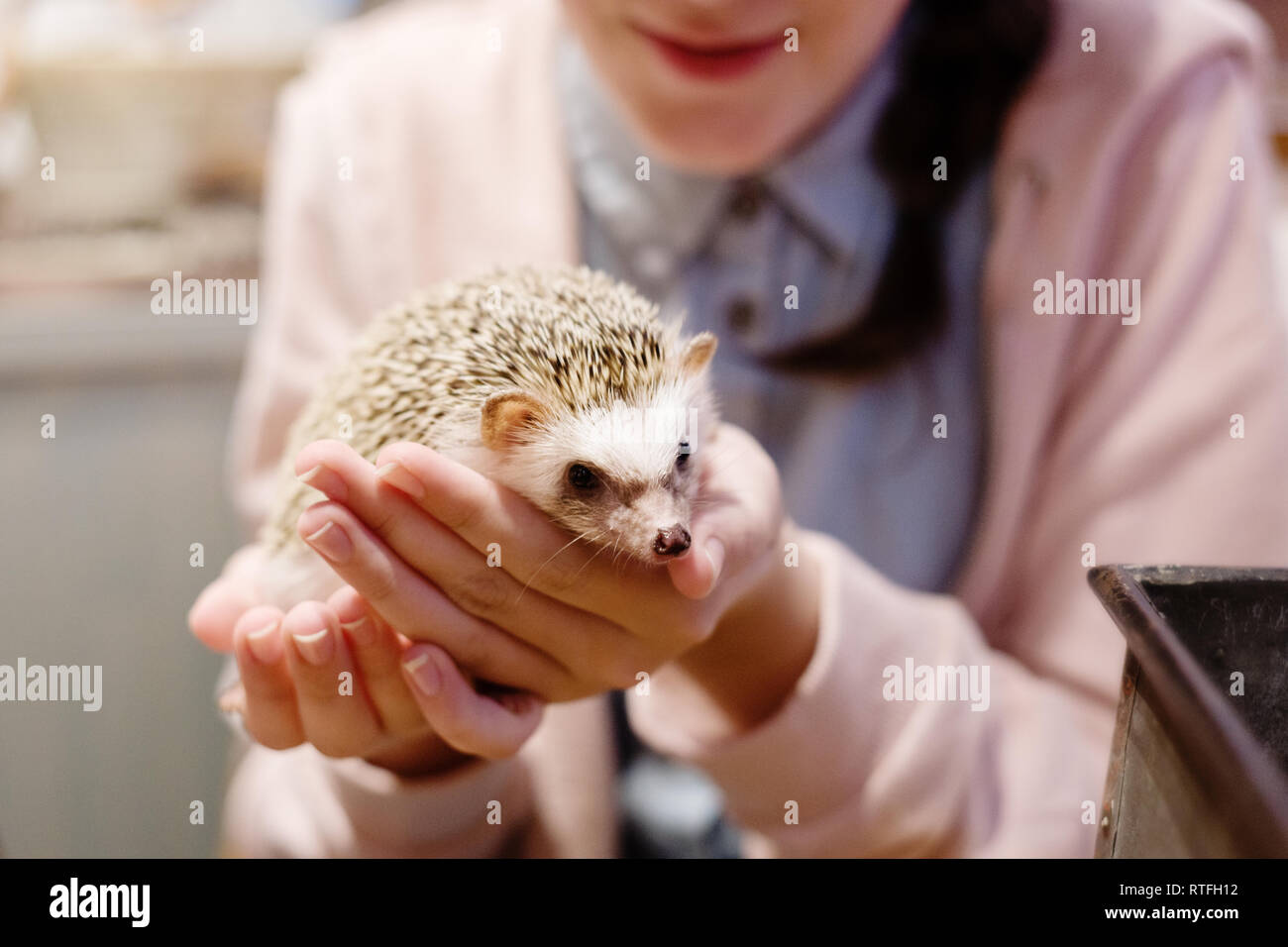 Places Where You Can Hold Animals Near Me at Frank Jimenez blog