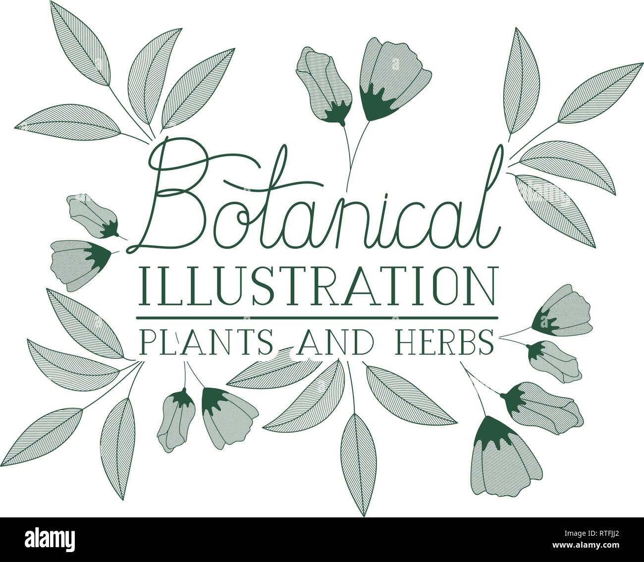botanical illustration label with plants and herbs vector illustration ...