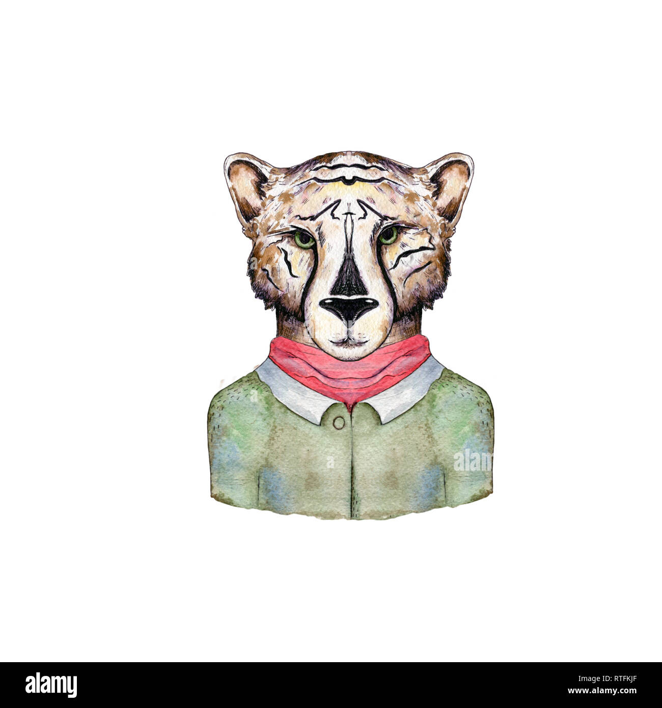 Hand drawn portrait of cute boy cat in clothing. Watercolor ...