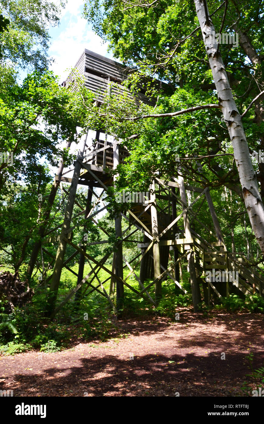 Tree House at RSPB Minsmere Nature Reserve, Suffolk, UK Stock Photo - Alamy
