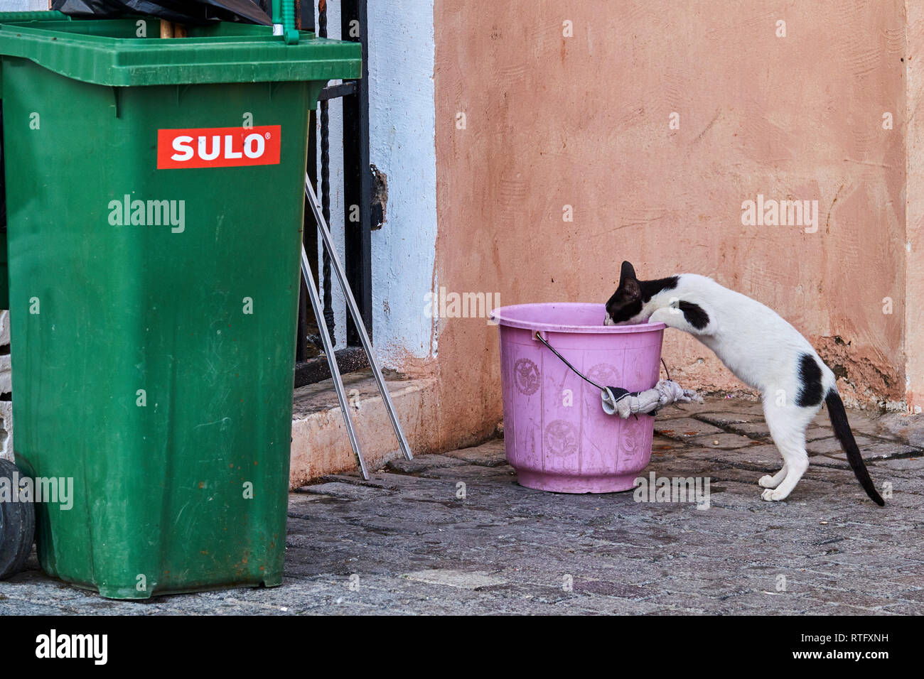 Muscat street hi-res stock photography and images - Alamy