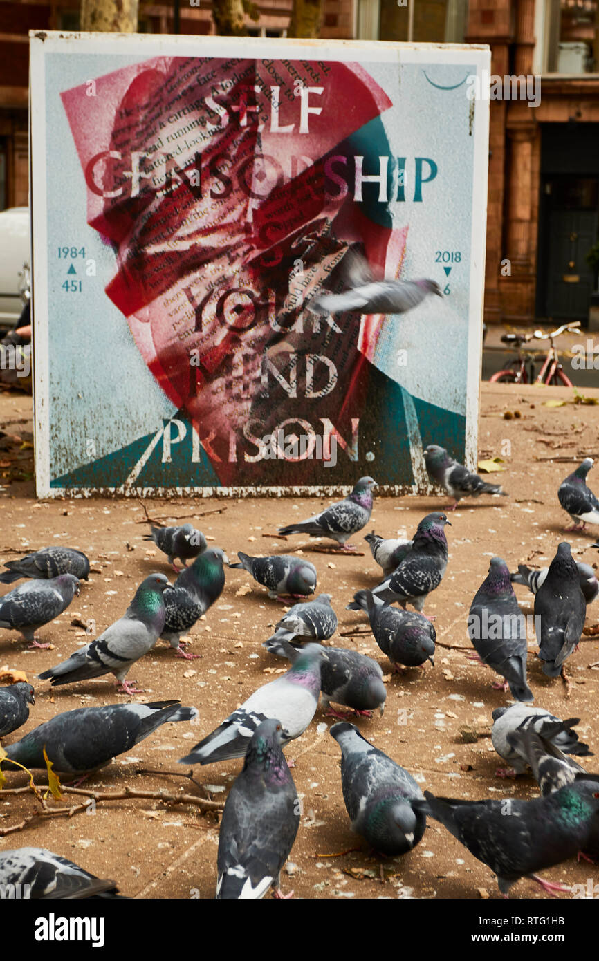 Winkie the pigeon hi-res stock photography and images - Alamy