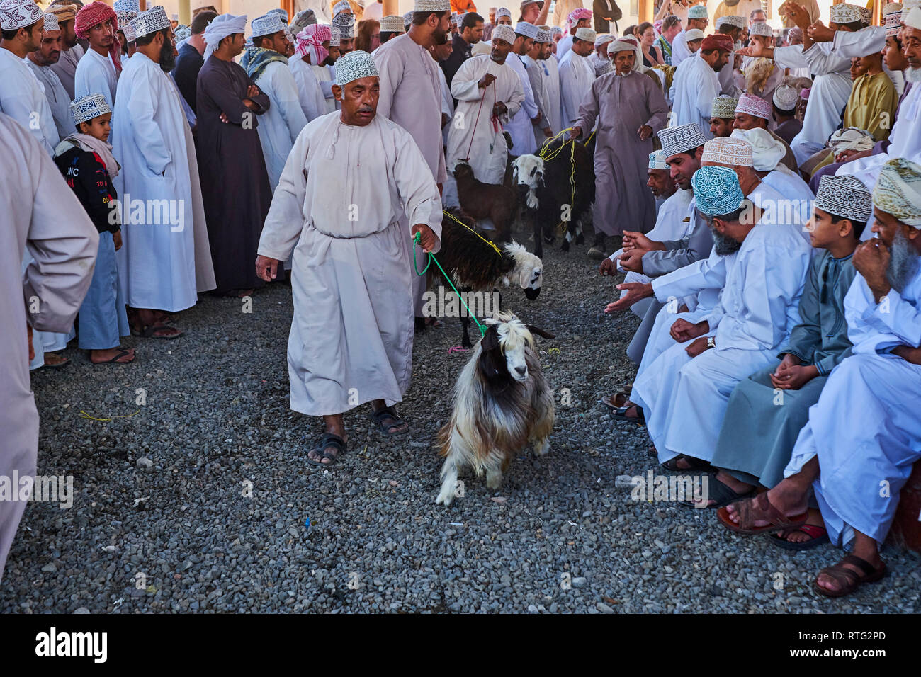 Sultanate of Oman, Ad-Dakhiliyah Region, Nizwa, friday cattle market ...