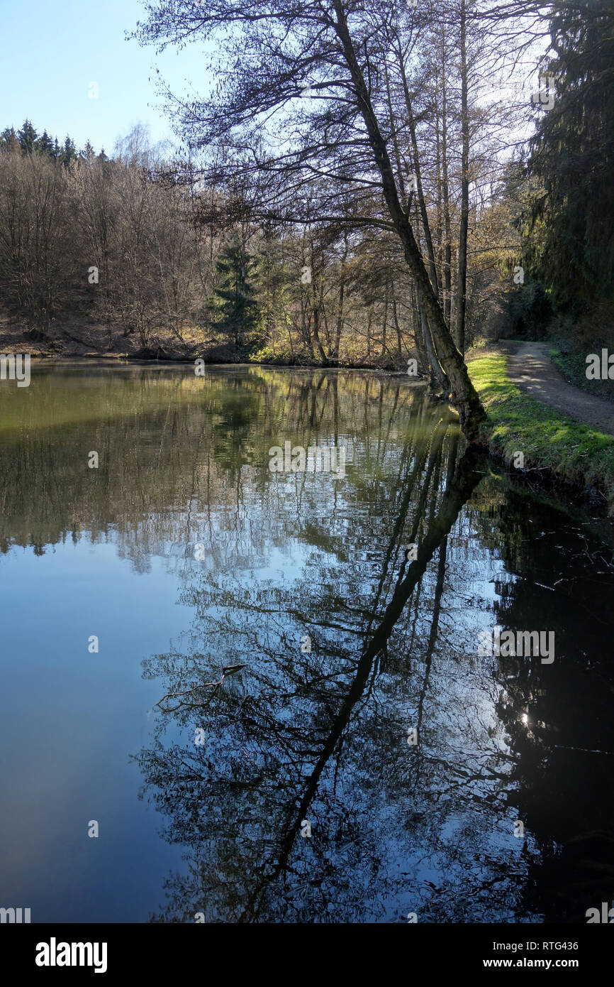 Lake with reflection Stock Photo - Alamy