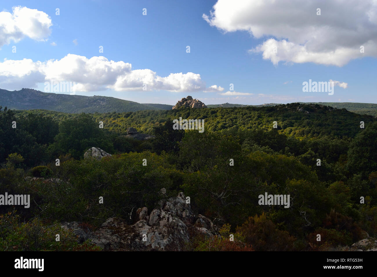 Perda hi-res stock photography and images - Alamy