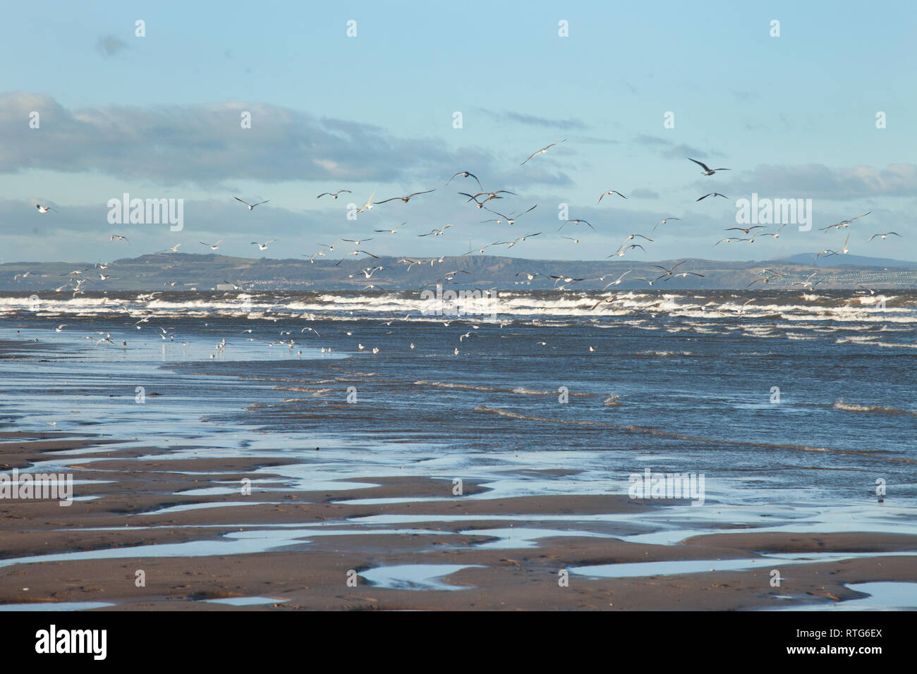 Sunny and very windy weather on a bright day on Portobello beach in ...