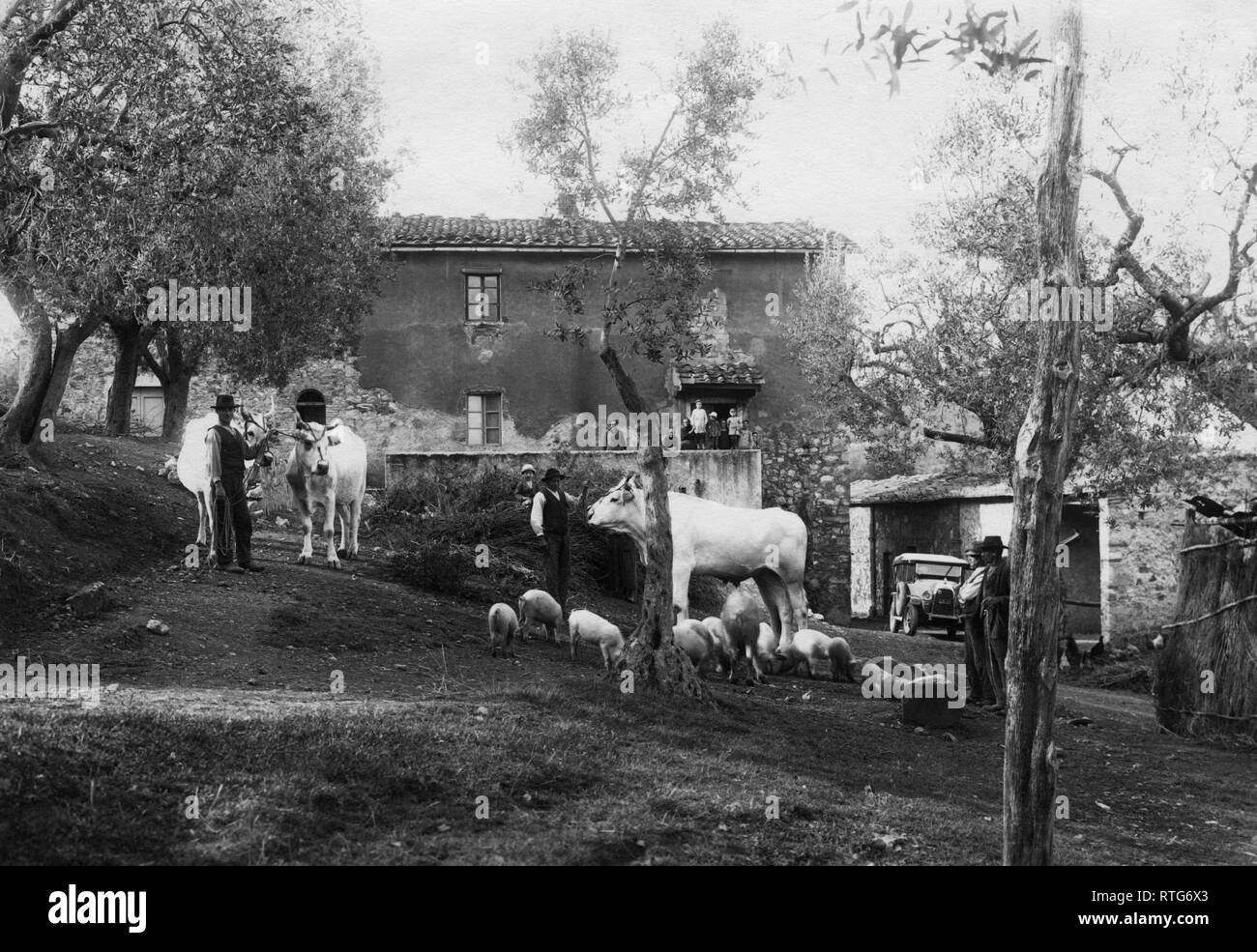Italy 1920 farm hi-res stock photography and images - Alamy