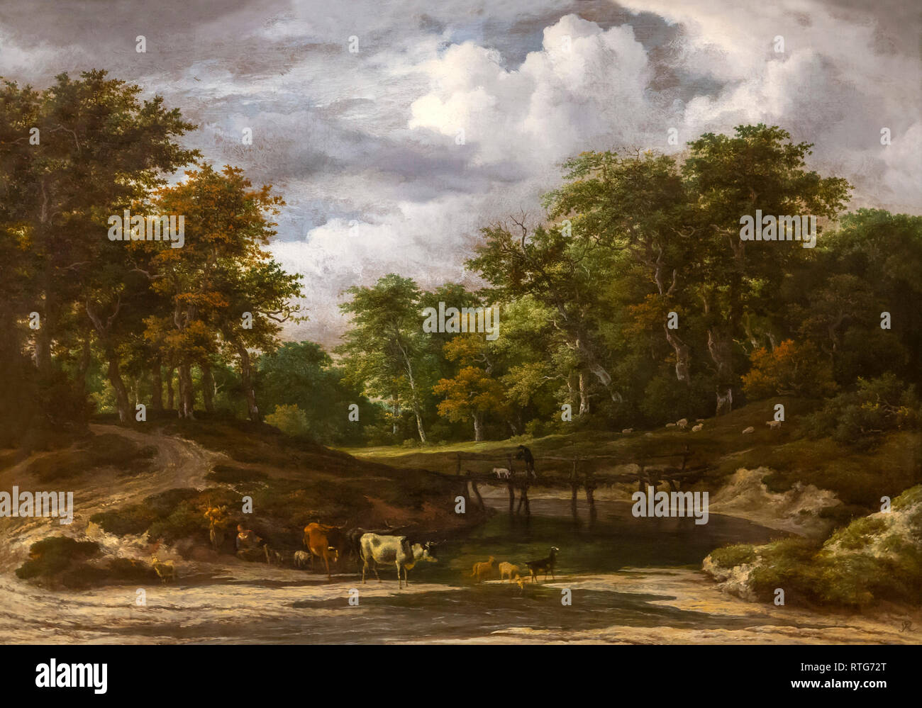 A Woodland Landscape, Jacob van Ruisdael, 1660's Stock Photo - Alamy