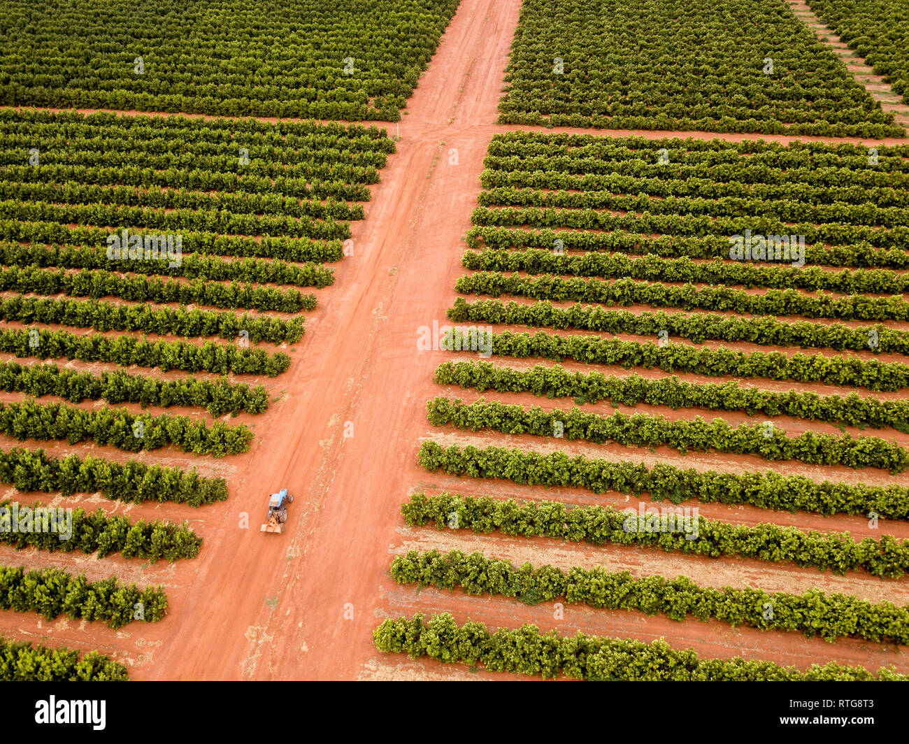 Farm trees growing crops aerial hi-res stock photography and images - Alamy