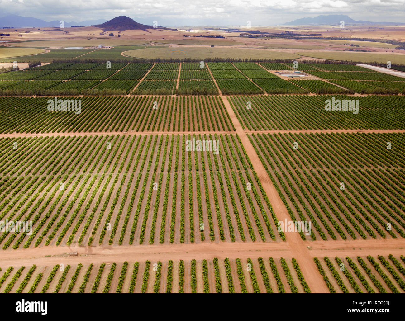 Aerial over a citrus farm Stock Photo - Alamy