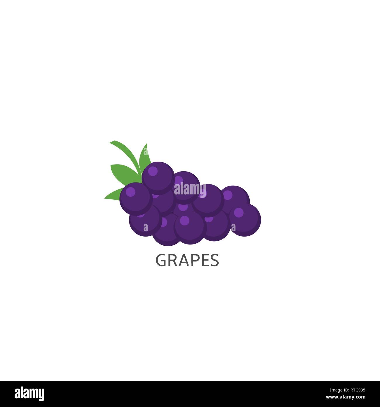 Grapes. Blue purple grapes isolated over white background Vector ...