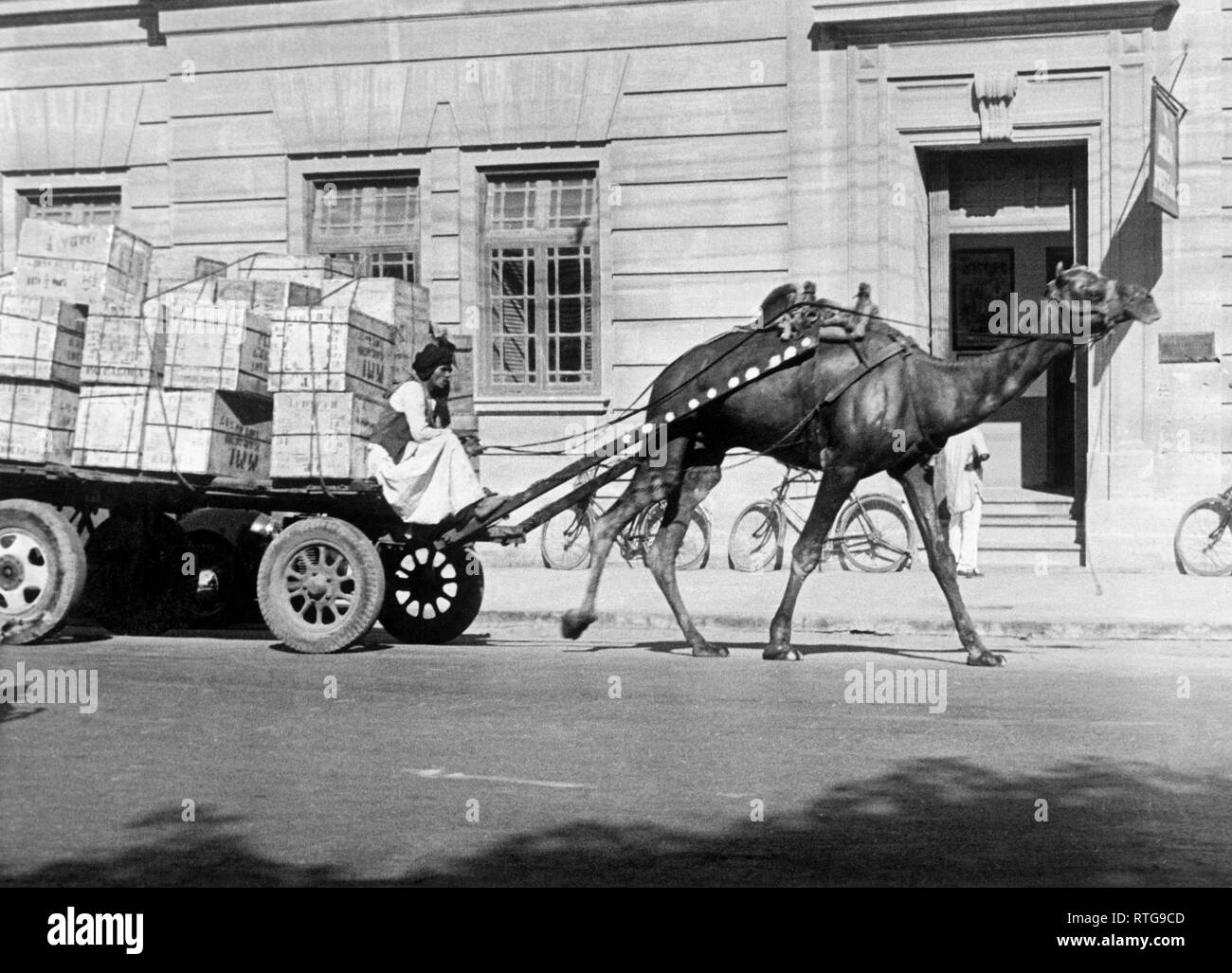 pakistan, karachi, a camel used for the transport of goods, 1955 Stock ...