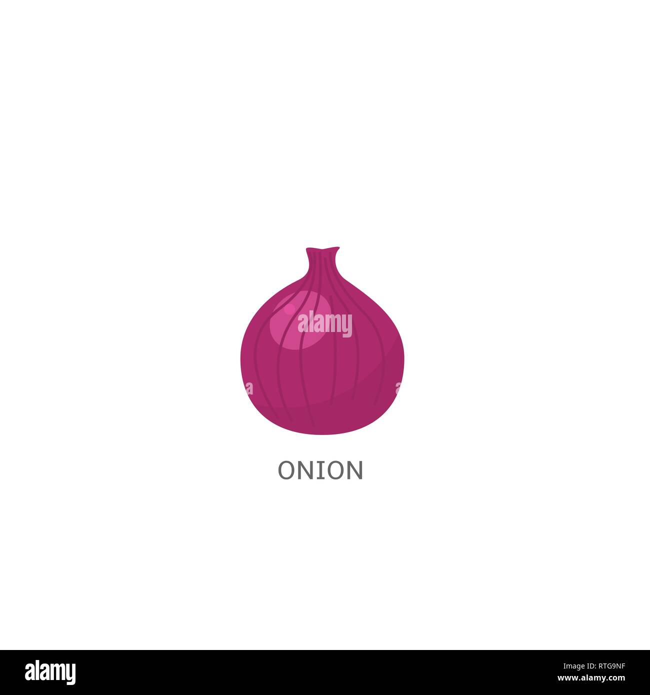 Onion. Red onion isolated over white background Vector illustration ...