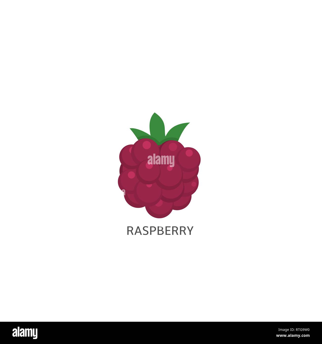 Raspberry. Raspberry icon over white background Vector illustration ...