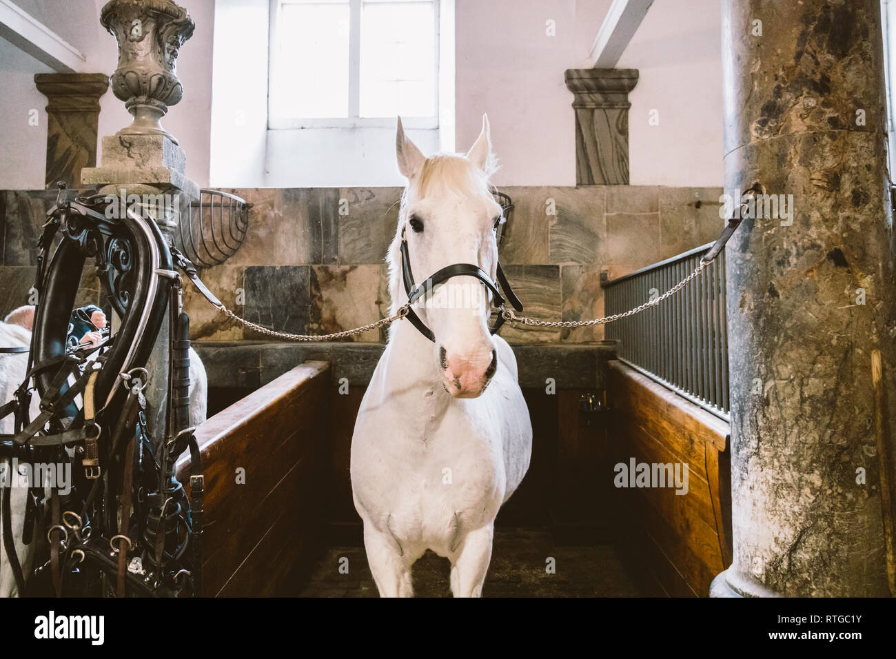 Royal Stable in Denmark, the city of Copenhagen in the territory of ...