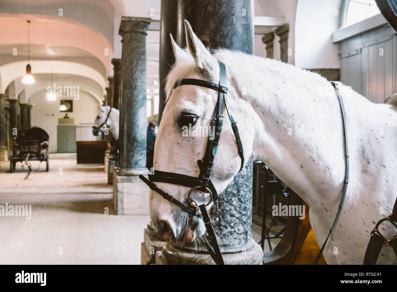 Danish royal palace carriage hi-res stock photography and images - Alamy