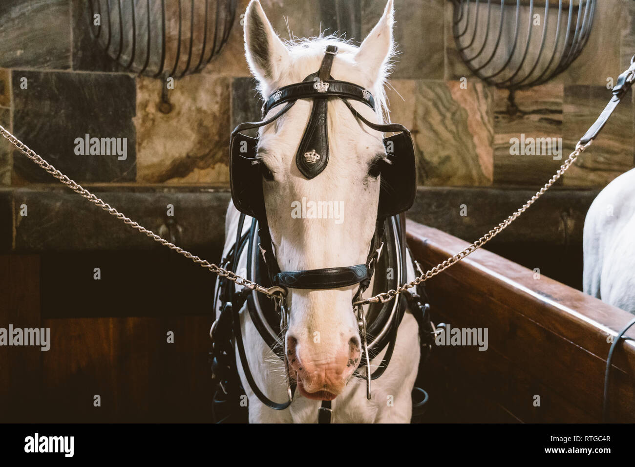 Danish royal palace carriage hi-res stock photography and images - Alamy