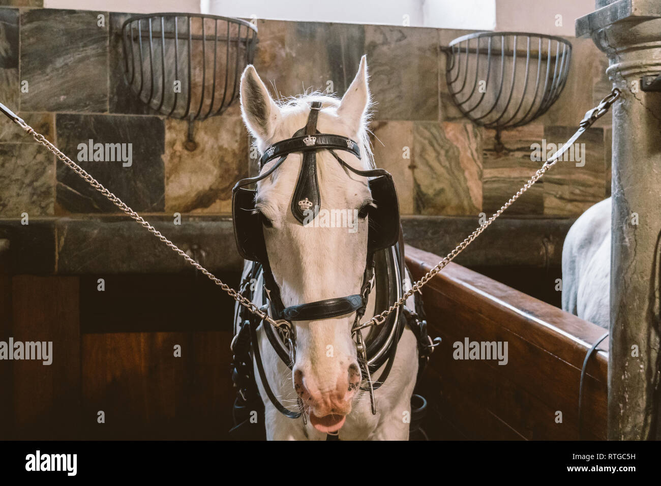 Royal Stable in Denmark, the city of Copenhagen in the territory of ...