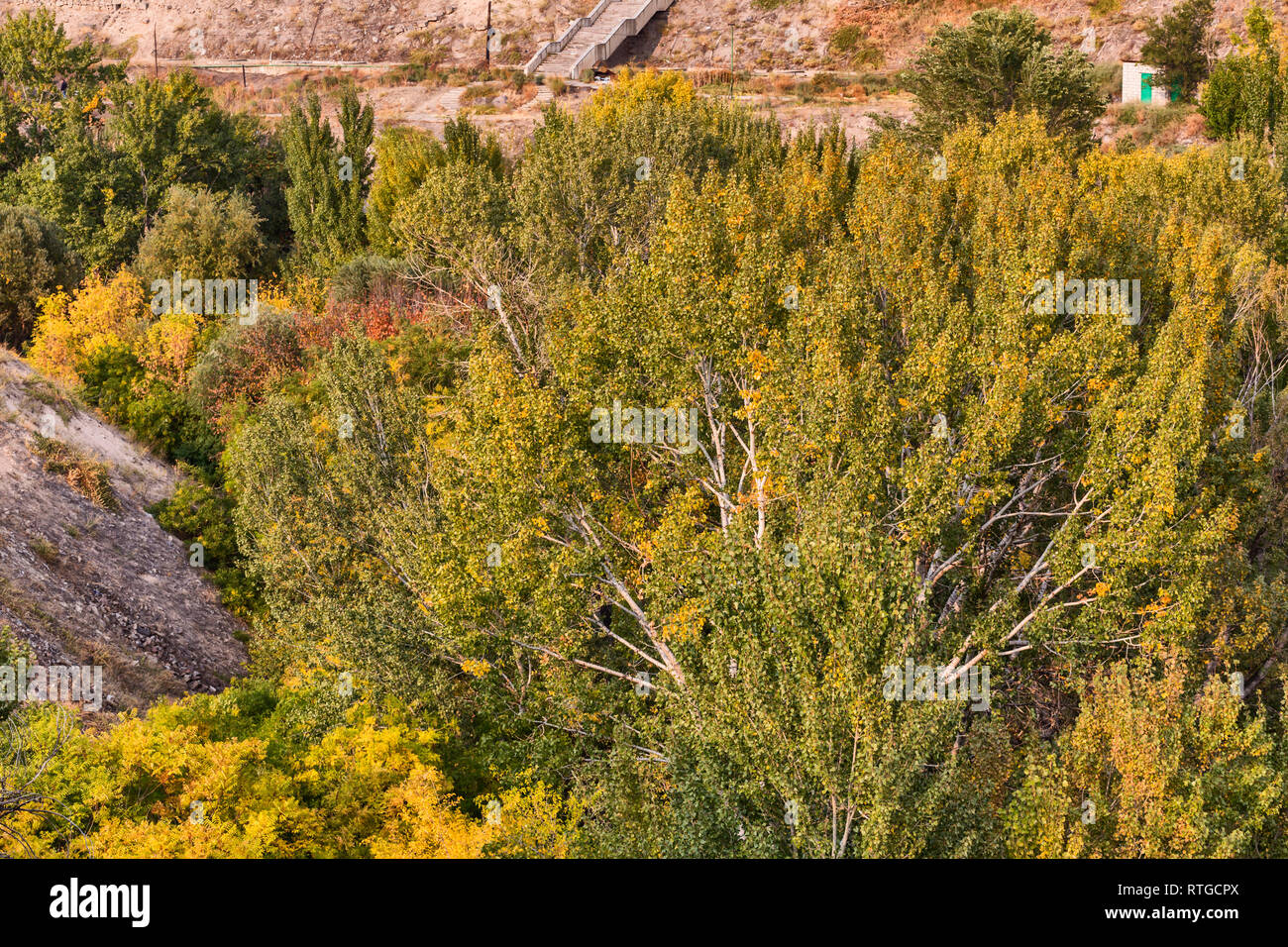 Yerevan forest hi-res stock photography and images - Alamy