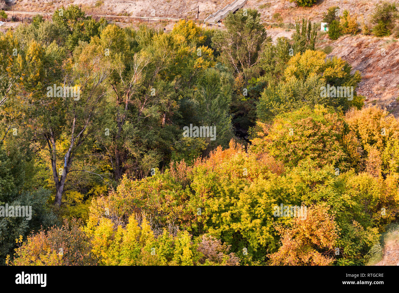 Autumn wood in Yerevan, Armenia Stock Photo - Alamy