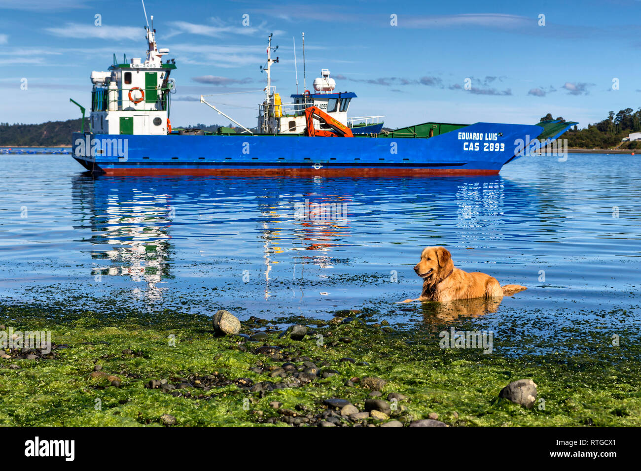 Vilupulli, Chiloe island, Los Lagos region, Chile Stock Photo - Alamy