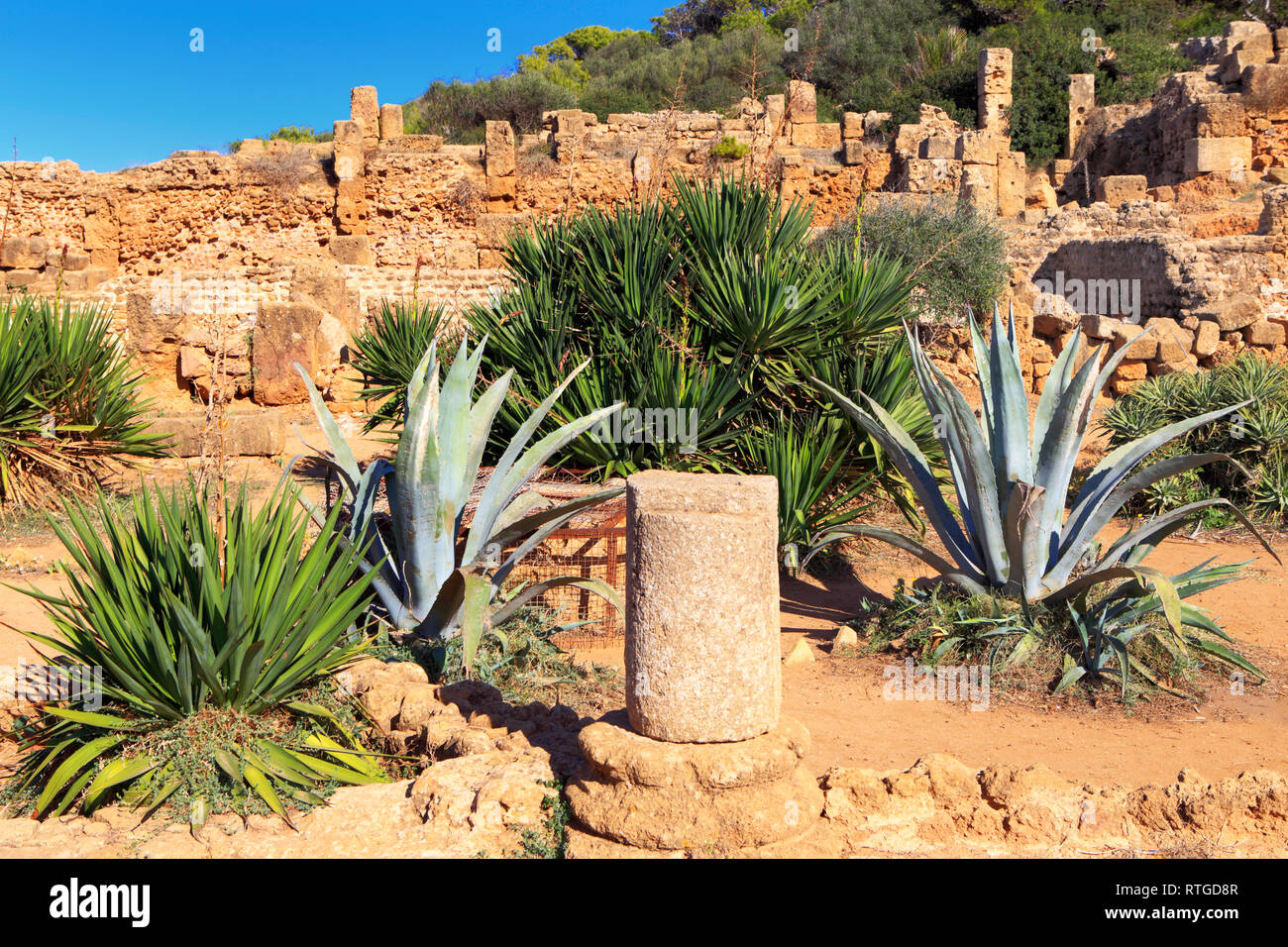 Ruins of ancient city, Tipaza, Tipaza Province, Algeria Stock Photo - Alamy