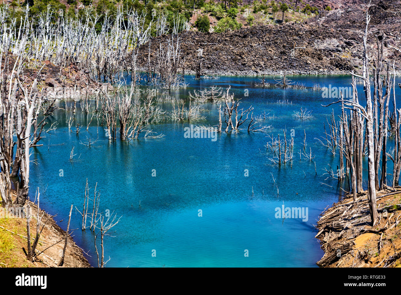Volcanic lake, Reserva Nacional Malalcahuello-Nalcas, Araucania region ...