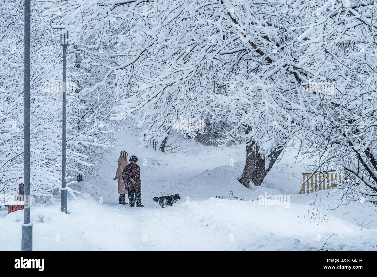 Heavy snowfall in Moscow, Russia Stock Photo - Alamy