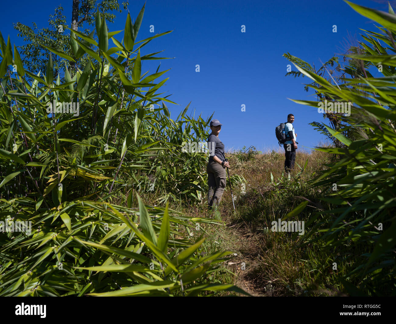 Tourists hiking up a hill, Yangthang, Gyalshing, West Sikkim, Sikkim ...