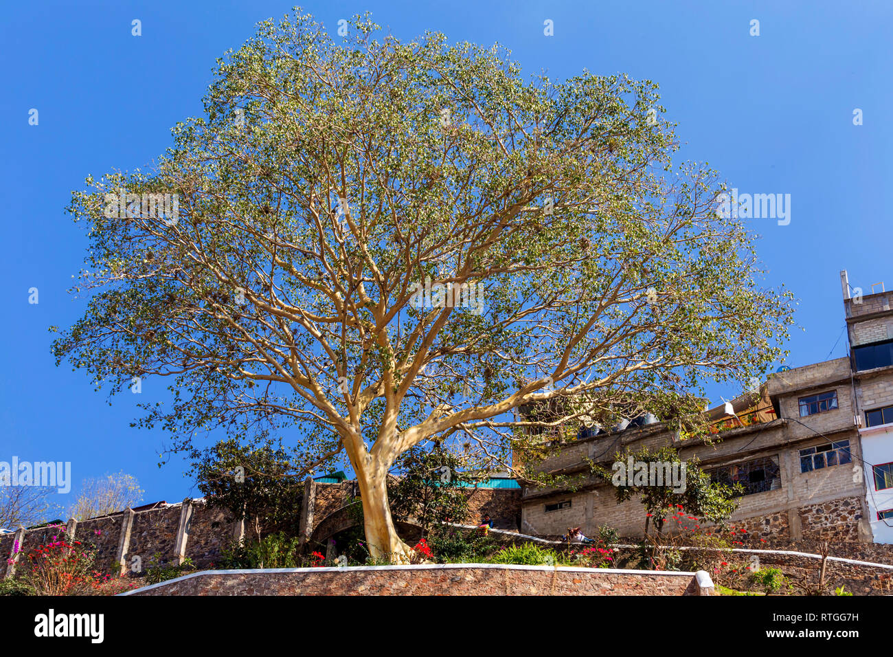 Our Lord of Chalma sanctuary, early 19th century, Chalma, Malinalco ...