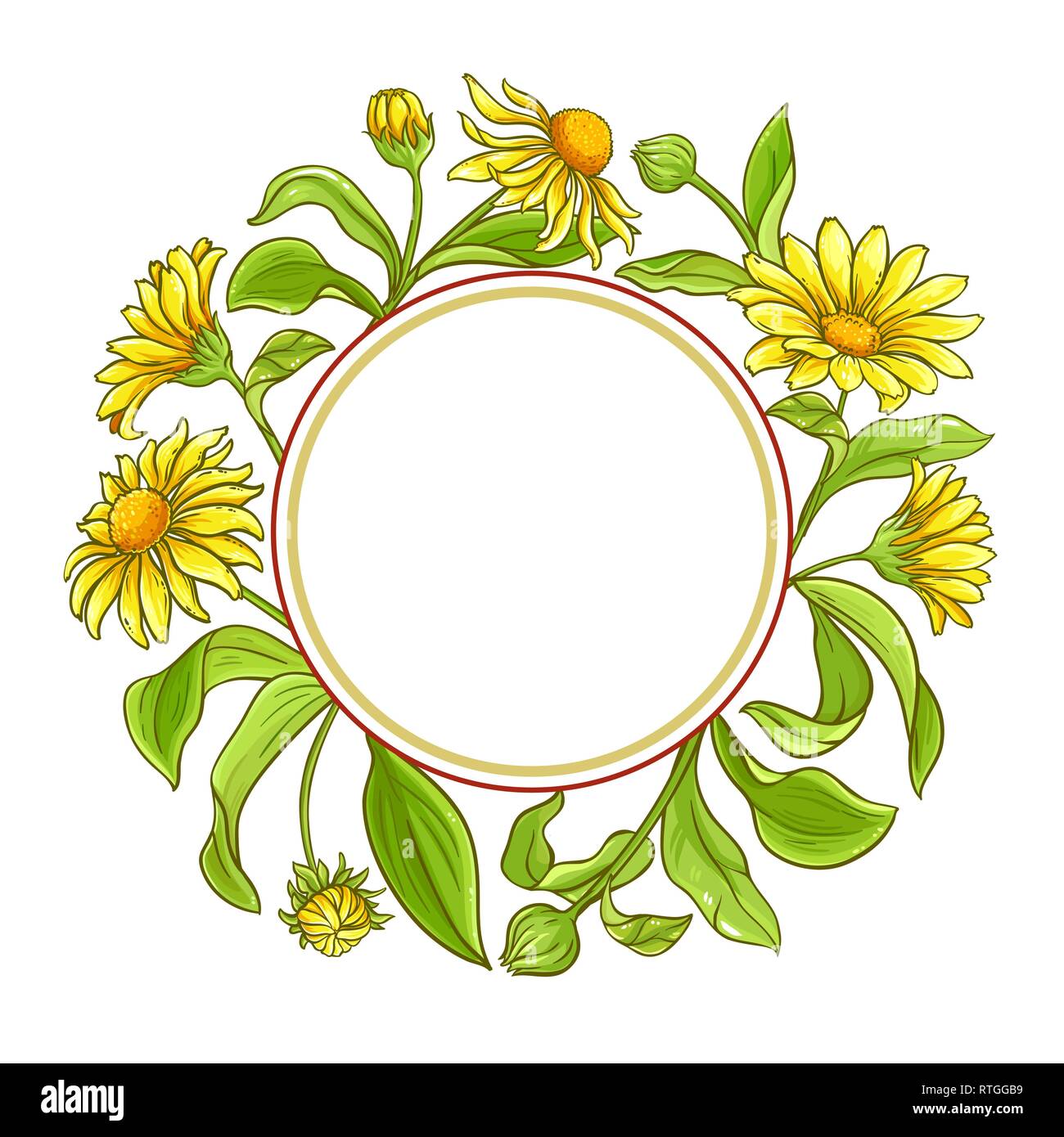 Homeopathic vector vectors Cut Out Stock Images & Pictures - Alamy