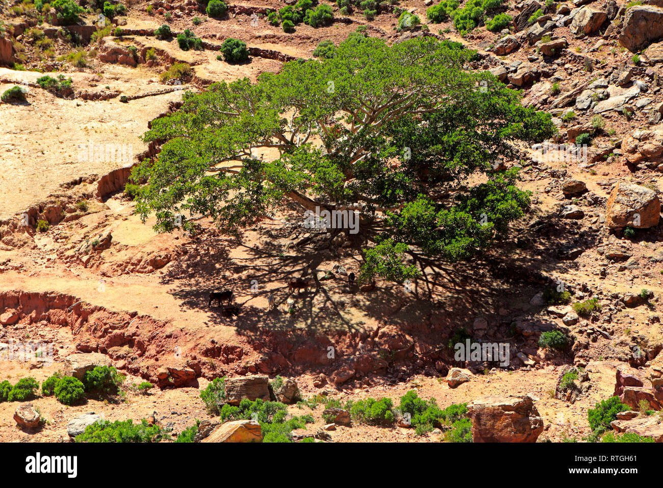 Gheralta mountains, Degum village, Tigray region, Ethiopia Stock Photo ...