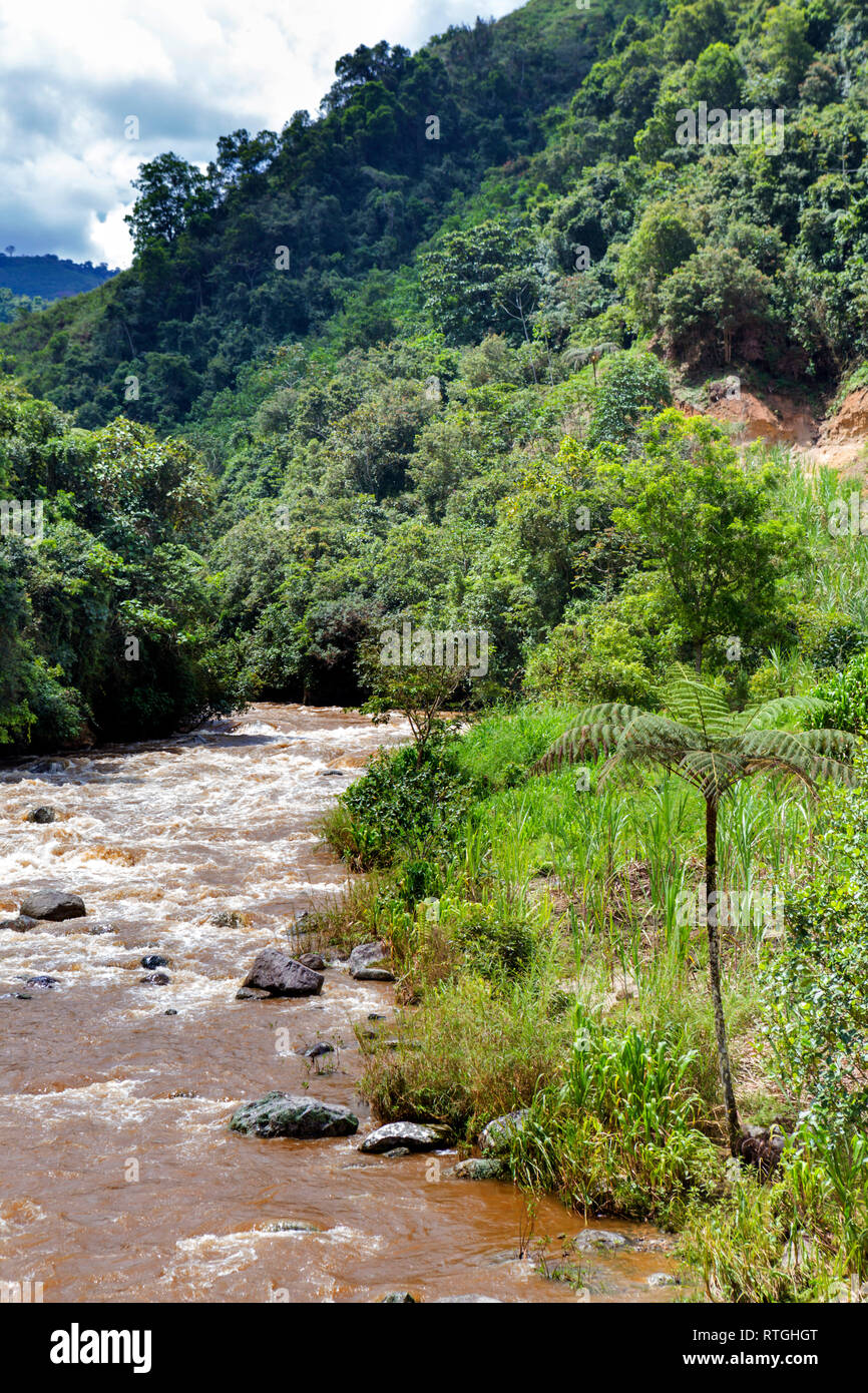 Magdalena river, Colombia Stock Photo - Alamy