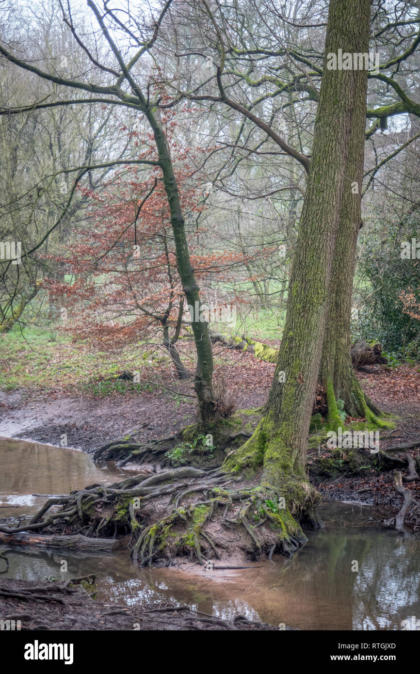 Worden Park, Leyland Stock Photo - Alamy