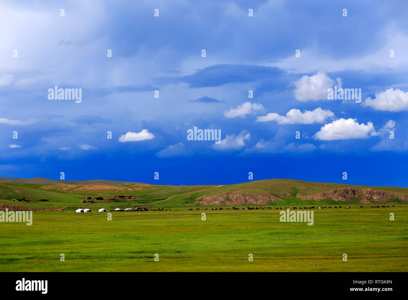 Tsetserleg hi-res stock photography and images - Alamy