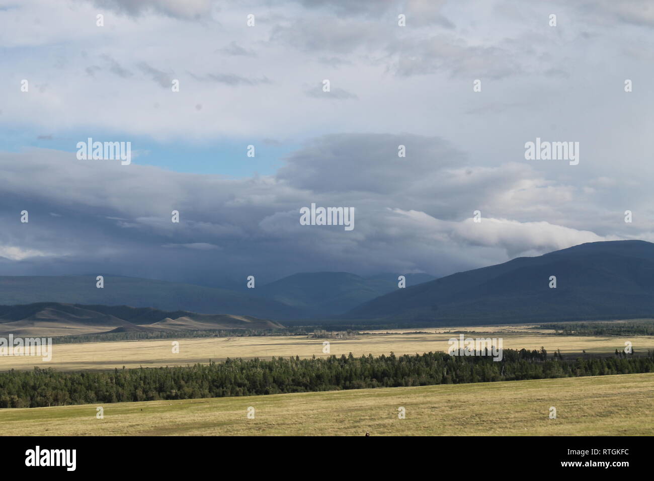 Wide steppe with yellow grass under a blue sky with white clouds Sayan ...