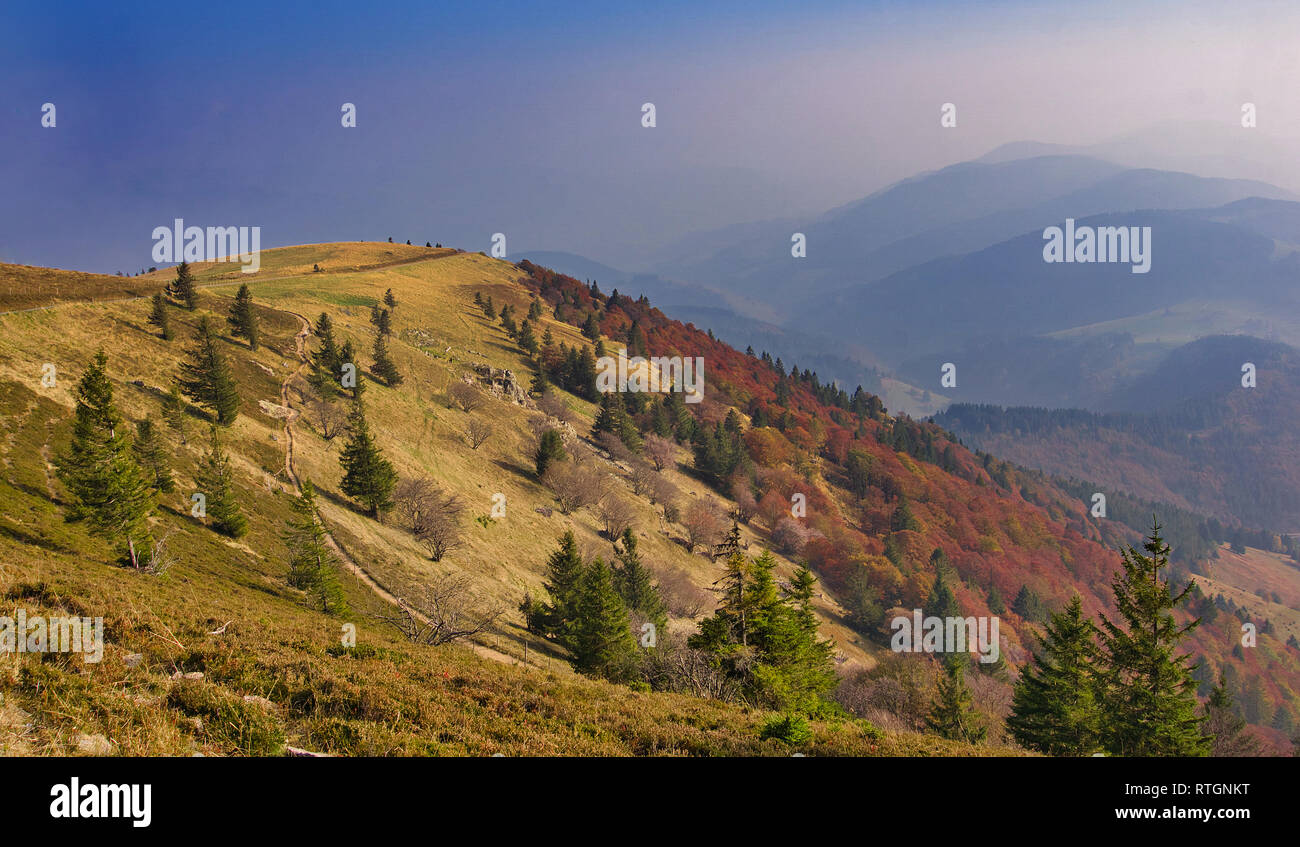 this is not real Stock Photo - Alamy