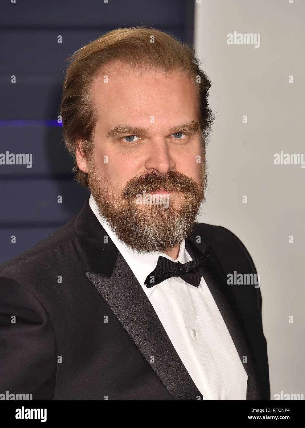 BEVERLY HILLS, CA - FEBRUARY 24: David Kenneth Harbour attends the 2019 ...