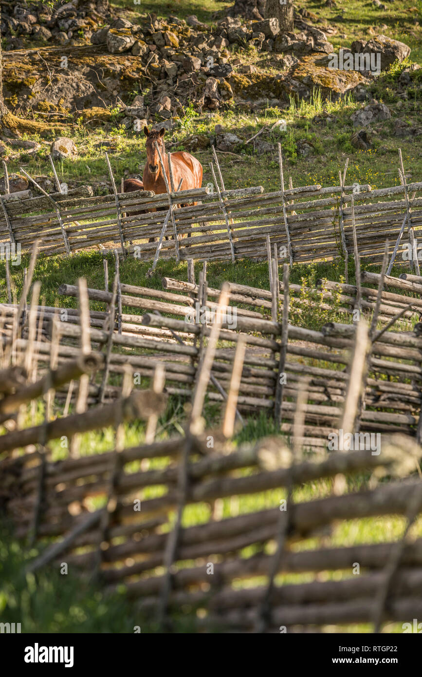 Traditional swedish fence hi-res stock photography and images - Alamy