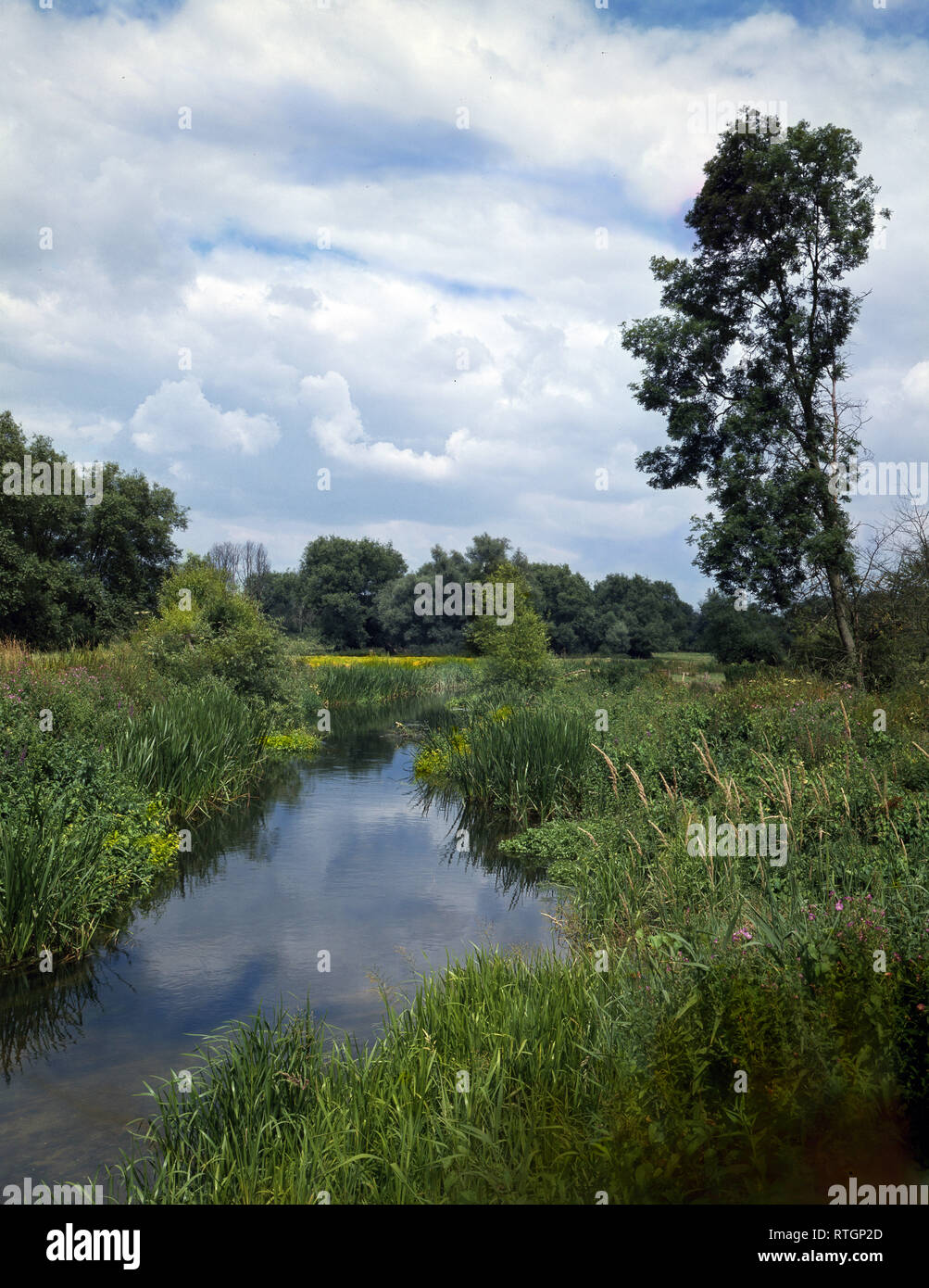 Photo Must Be Credited ©Alpha Press 040000 The River Thames at ...