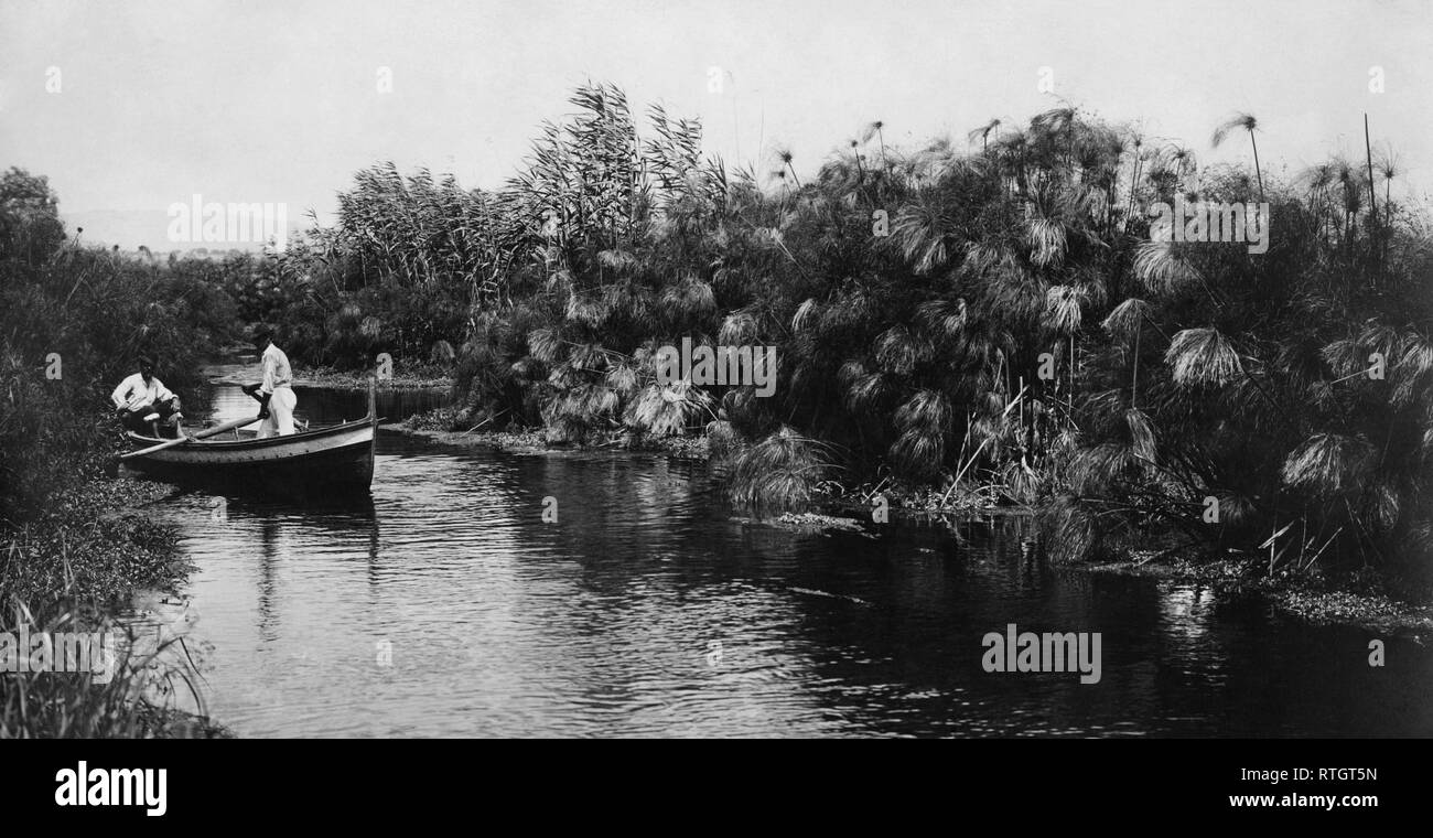 Italy, Sicily, Syracuse, Anapo river and planted with papyrus, 1910-20 ...
