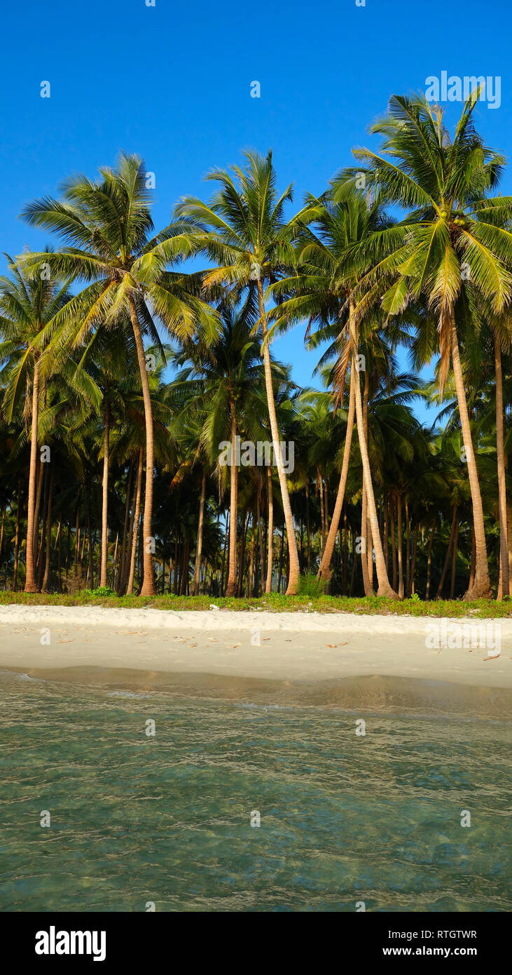 Koh Rong Island in Cambodia Stock Photo - Alamy