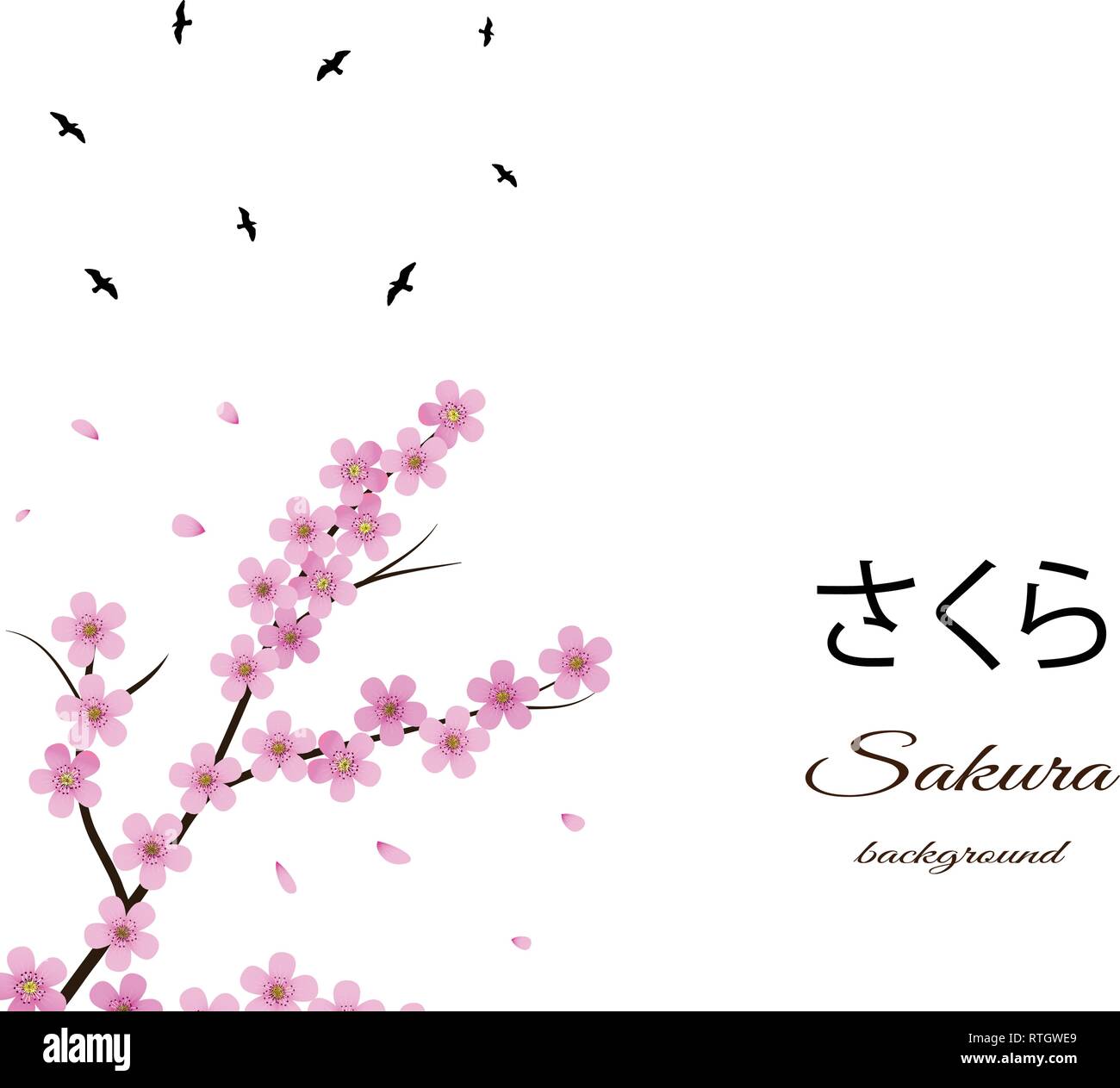 Sakura background with floral tree branch, birds Stock Vector Image ...