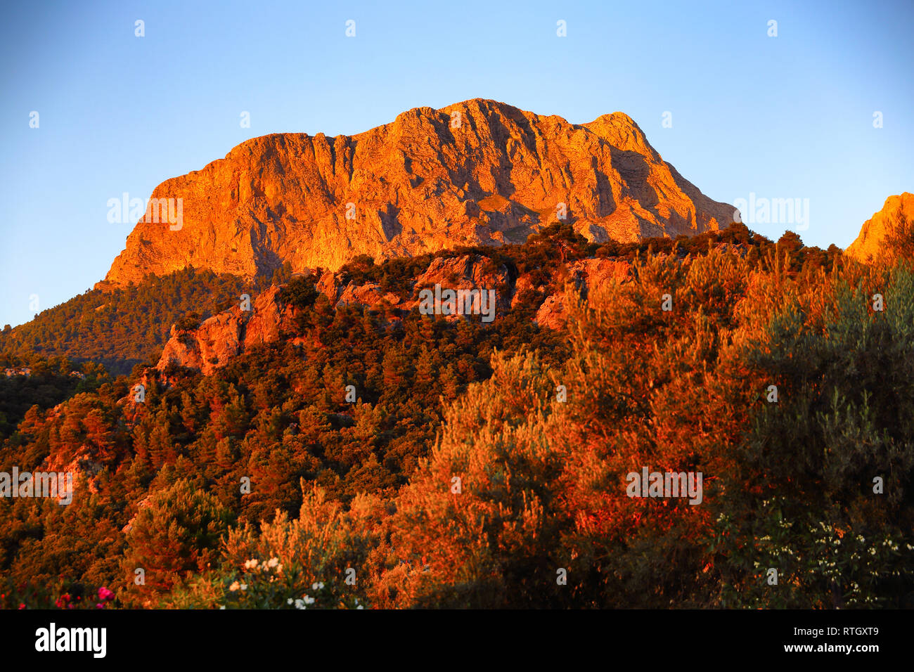 Puig major hi-res stock photography and images - Alamy