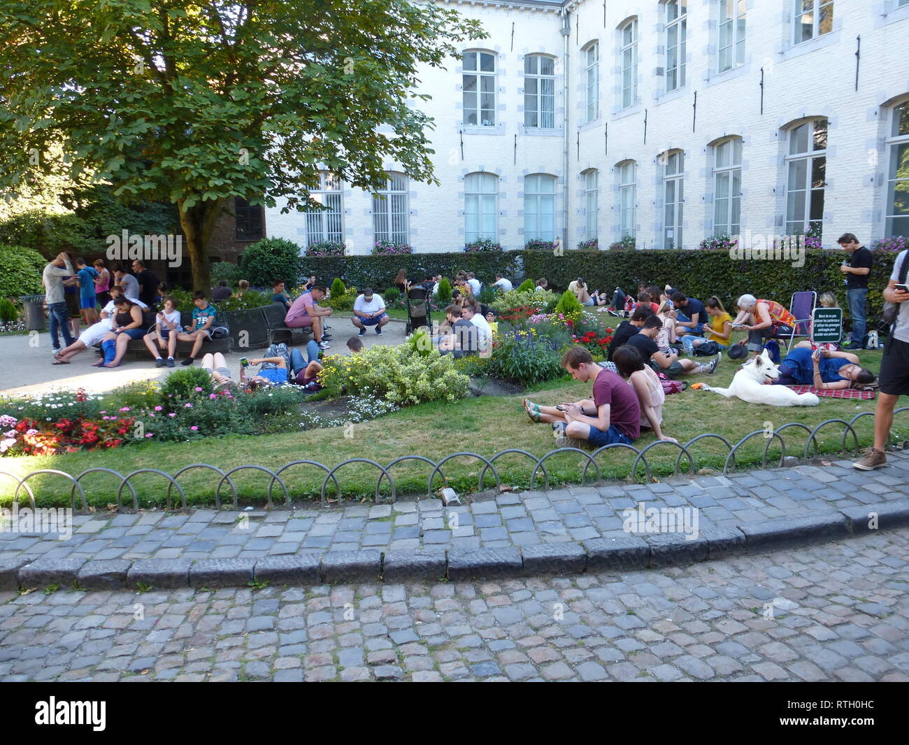 Crowd texting hi-res stock photography and images - Alamy