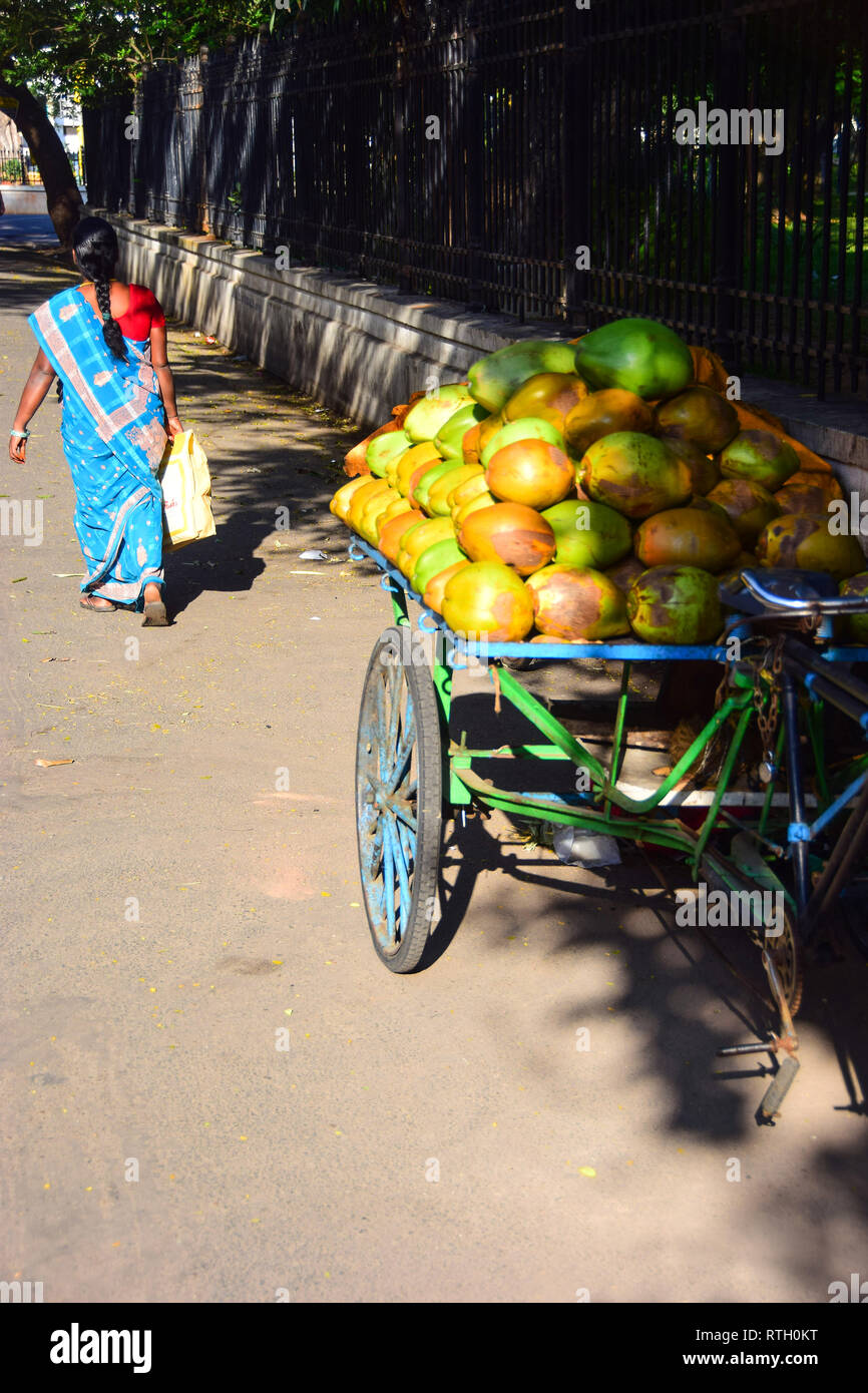 Coconut Cart and Indian Women, Pondicherry, Puducherry, Tamil Nadu ...