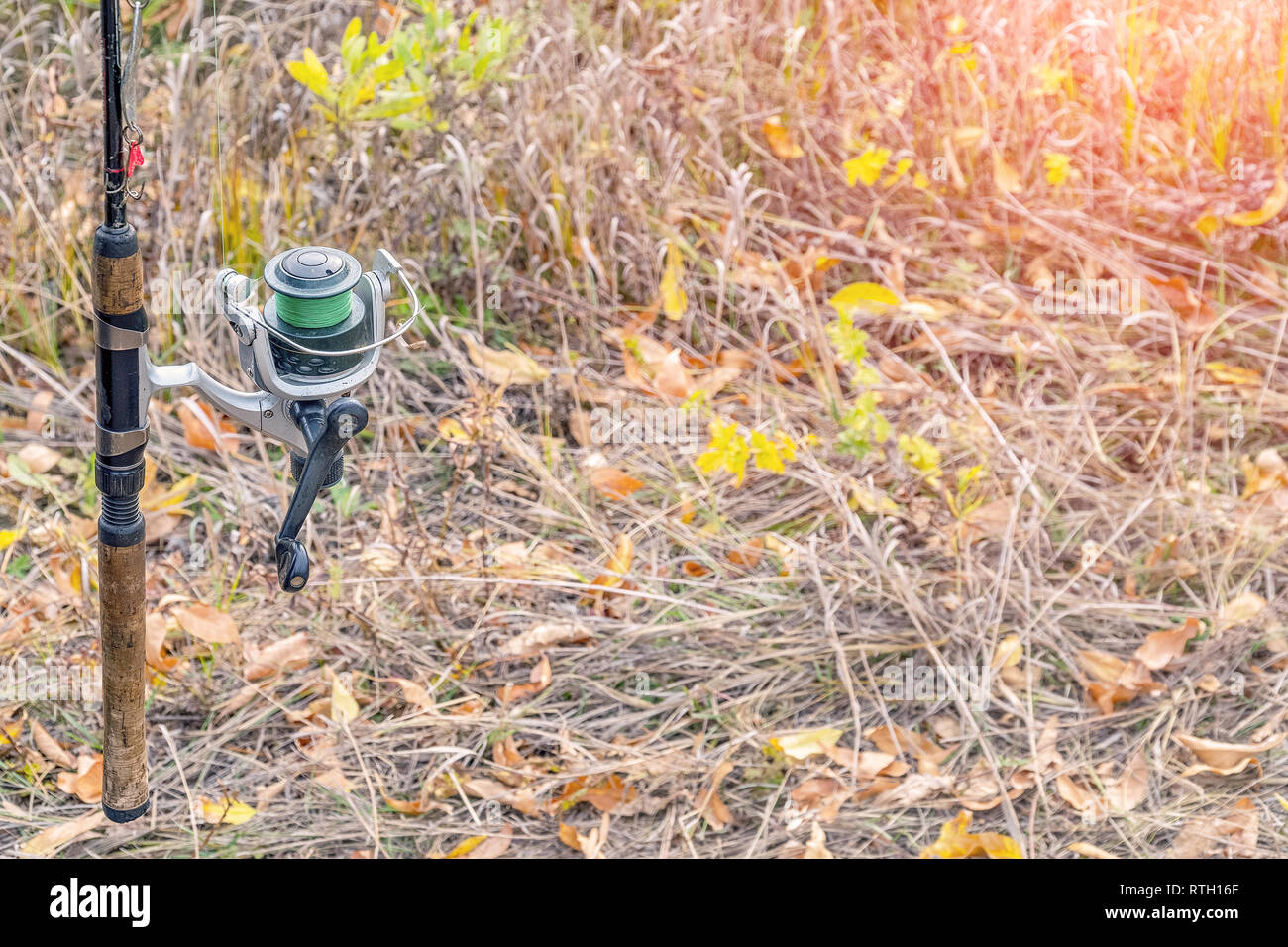 Fishing rod with a coil on the background of autumn grass Stock Photo ...