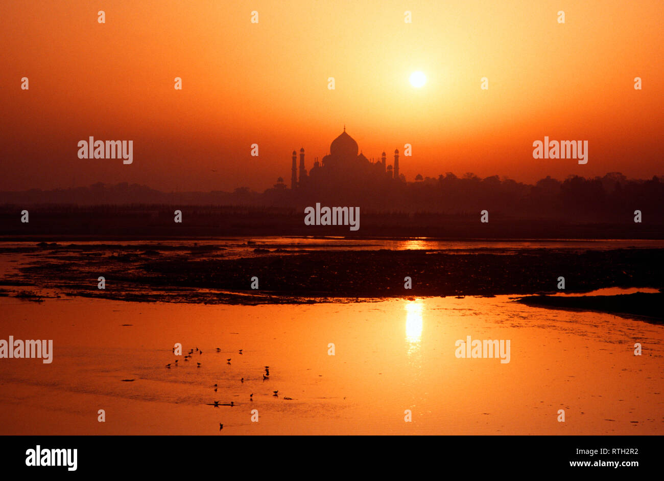Taj Mahal Sunrise, Yamuna River, Jamuna, Jamna, Agra India India Stock ...