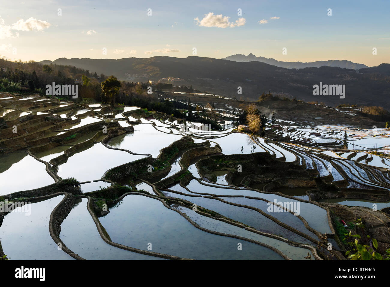 Paddy fields, Yuanyang Rice Terraces, Yunnan Province, China Stock ...